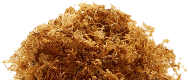 Download Virgin Earth Juice Sea Moss - Irish Mush PNG Image with No ...
