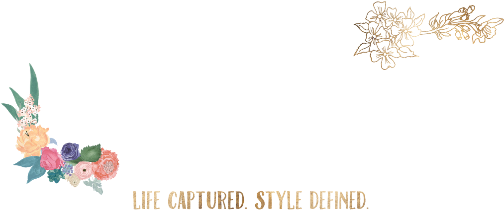 Download Blog Header - Armadillo PNG Image with No Background - PNGkey.com