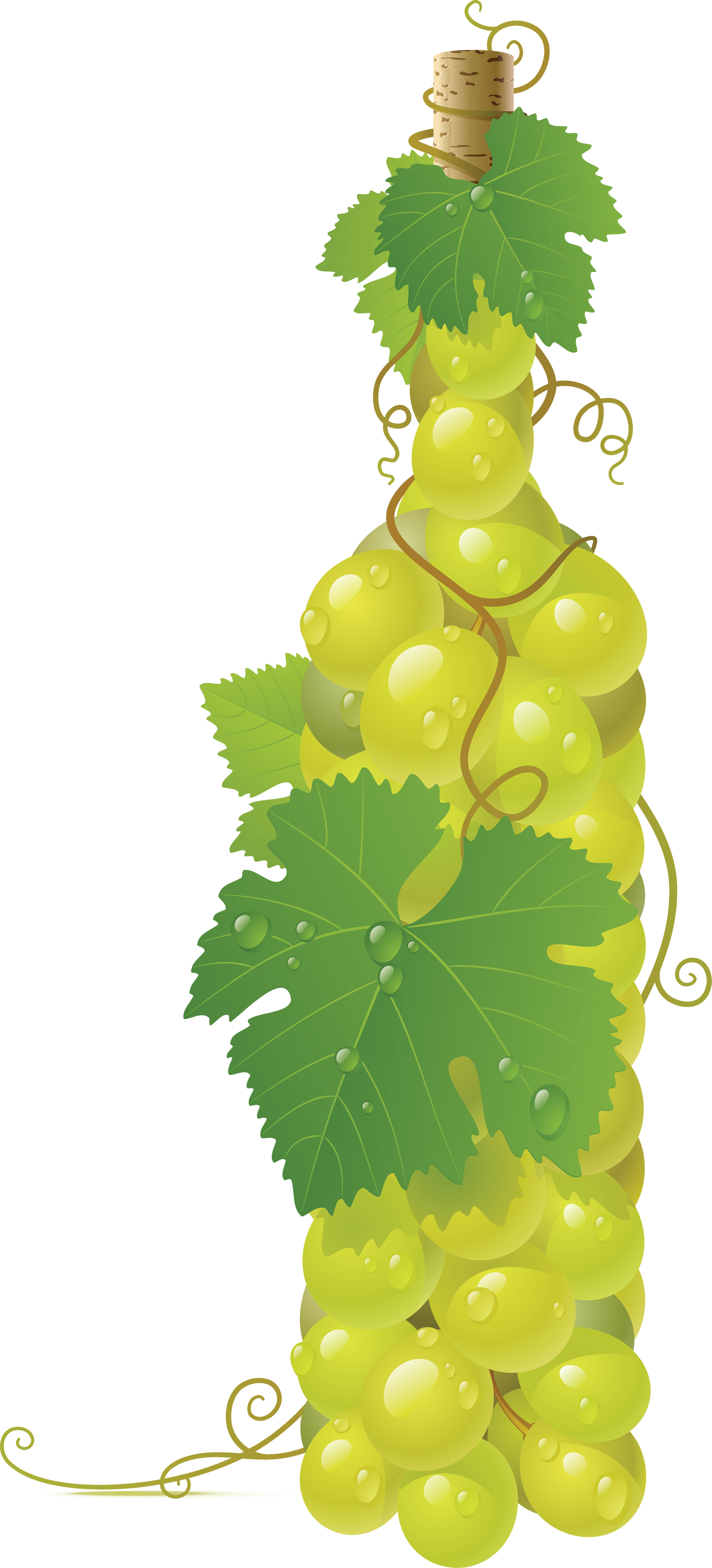 Download Best Free Grape Png Picture - Grapes Vector PNG Image with No ...