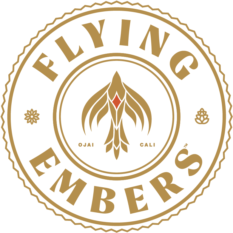 Download Flying Embers - Circle PNG Image with No Background - PNGkey.com