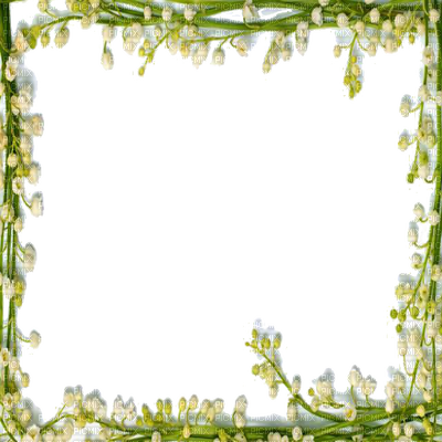 Download May Flower Frame Lily Of The Valley Frame - Flower Border PNG ...