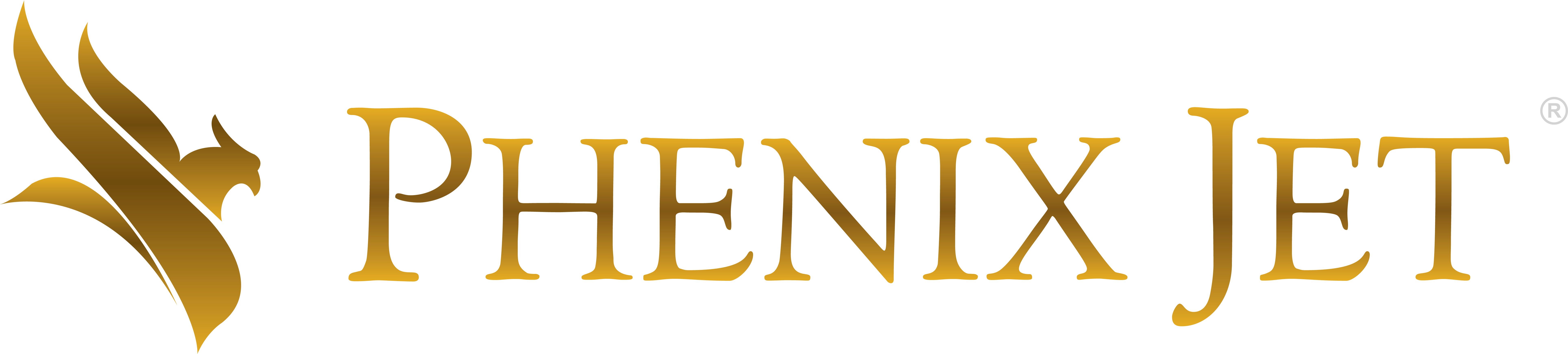 Download 2014 Gulfstream - Phenix Jet PNG Image with No Background ...