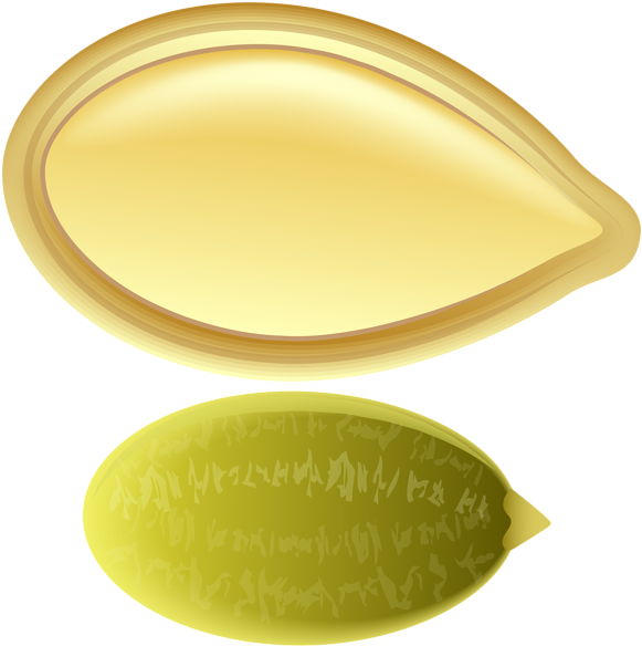 Download Pumpkin Seed Png Clip Art - Pumpkin Seed Clip Art PNG Image ...