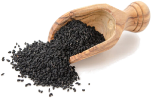 Download Black Cumin Seeds Png PNG Image with No Background - PNGkey.com