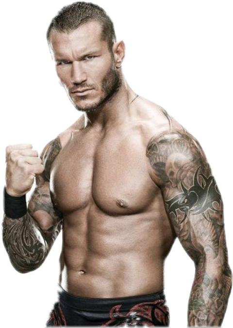 Download Wwe Superstars Randy Orton PNG Image with No Background - PNGkey.com
