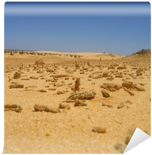 Download Sahara PNG Image with No Background - PNGkey.com