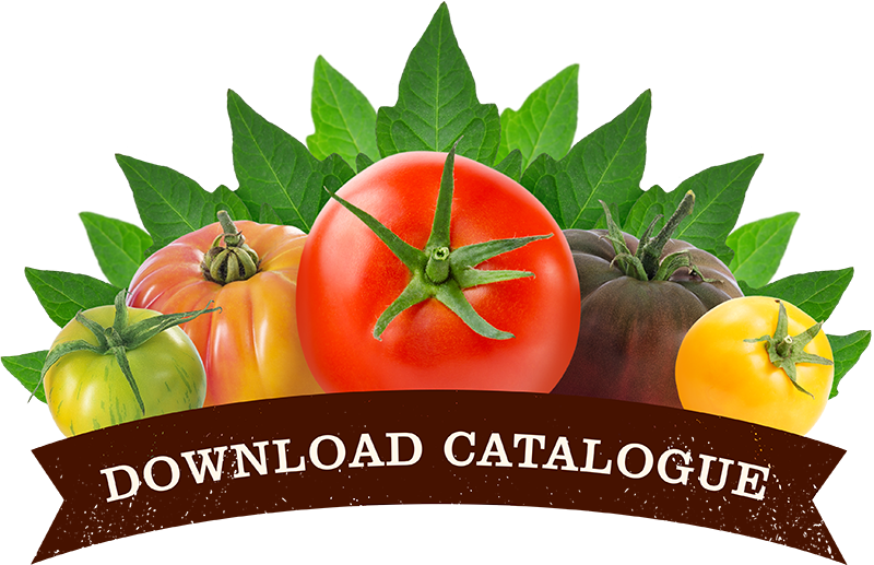 Download We Are Incredibly Proud To Have The Same Customers - Stock ...