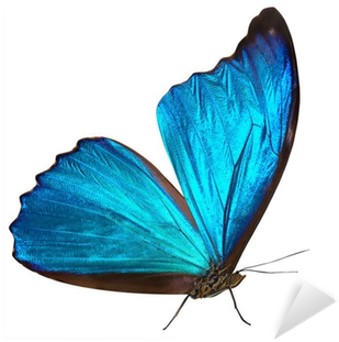 Download Teaching To Transform Not Inform 1 By W Bradley Simon PNG Image with No Background ...