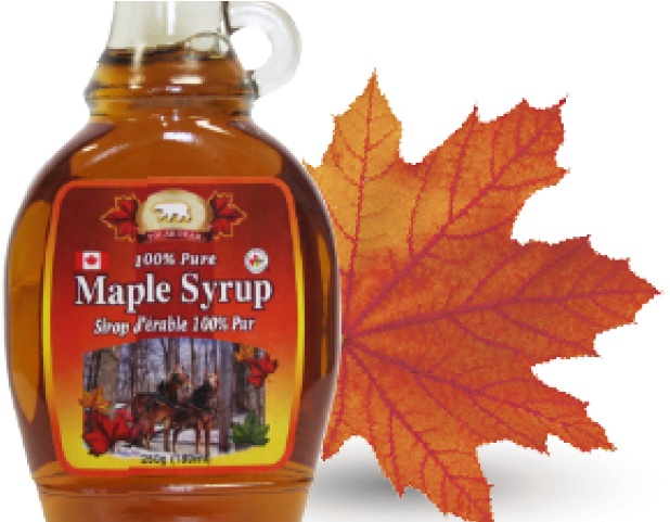 Download Maple Syrup PNG Image with No Background - PNGkey.com