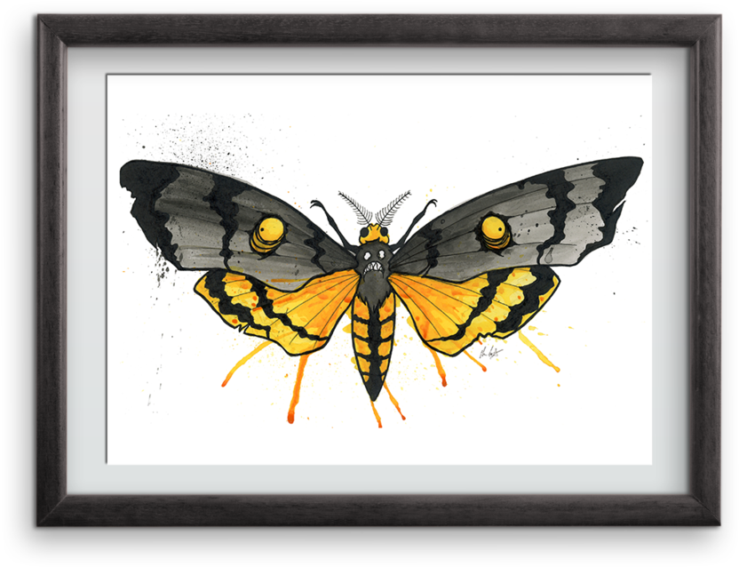 Download Goth Moth Art Print - Picture Frame PNG Image with No ...