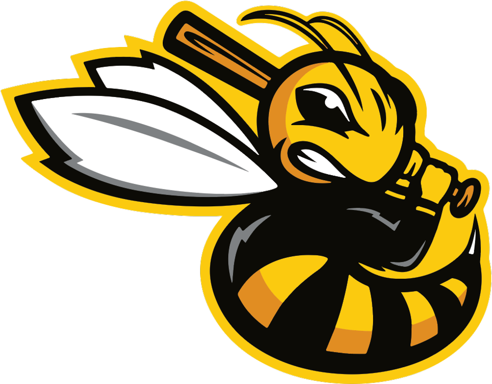 Download Attitude - Baseball Bee PNG Image with No Background - PNGkey.com