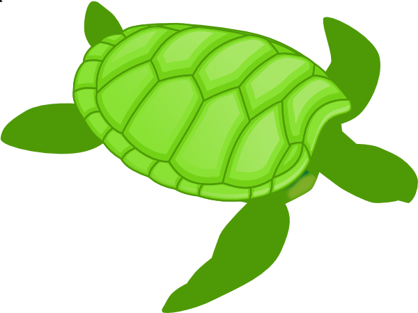 Download Sea Turtle Clipart Small Turtle - Objects That Is Green Color ...