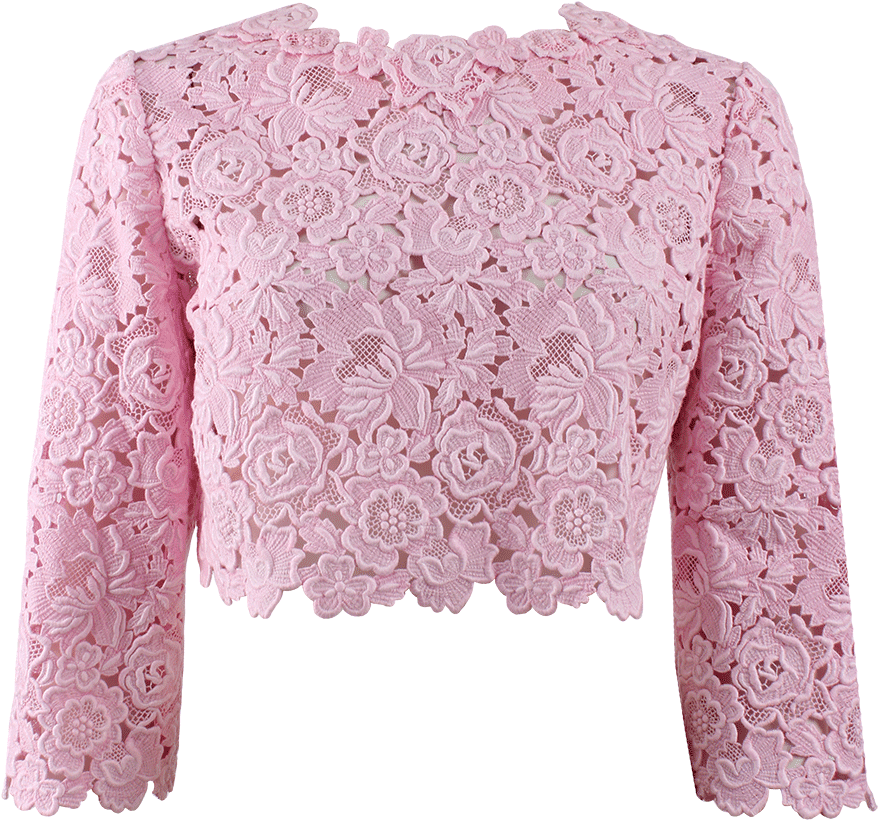 Download Blouse Background Png - Pink Blouse Png PNG Image with No ...