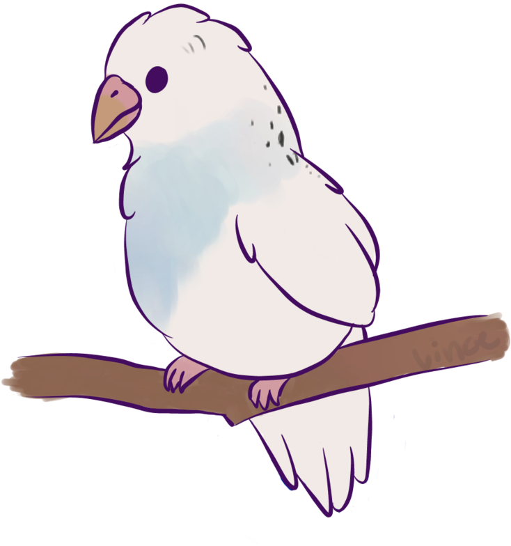 Download Clipart Freeuse Birb Drawing - Birb Drawing PNG Image with No ...