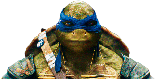 Download Download - New Leonardo Ninja Turtle PNG Image with No ...