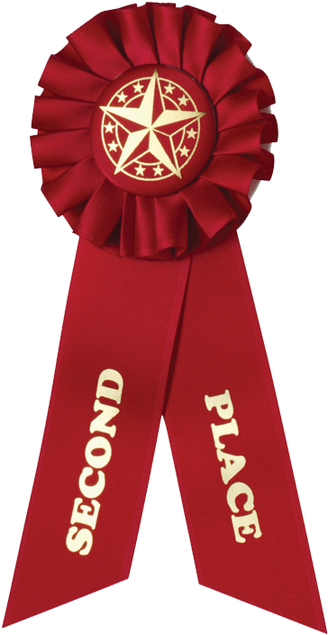 Download Ribbon Transparent Participation - Maroon Ribbon For Awards ...