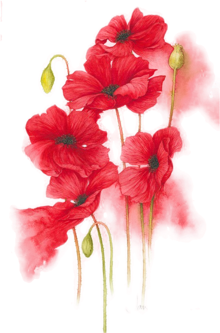 Download Red Flowers Png PNG Image with No Background - PNGkey.com