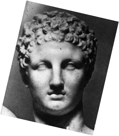 Part - Golden Ratio Face Greek Statue - Free Transparent PNG Download ...