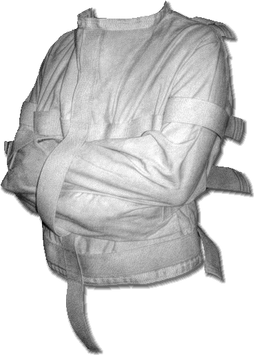 Straight Jacket Required - Blouse - Free Transparent PNG Download - PNGkey