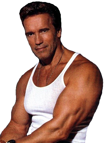 Arnold Schwarzenegger 1991