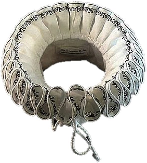 Download William Shakespeare's Neck Ruff - William Shakespeare Neck ...