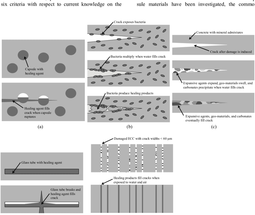 Download Mineral Admixtures Self Healing Approach, (d) Glass - Bacteria ...
