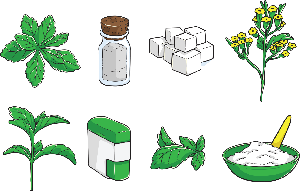 Download Free Hand Drawn Stevia Vector - Vector Graphics PNG Image with ...
