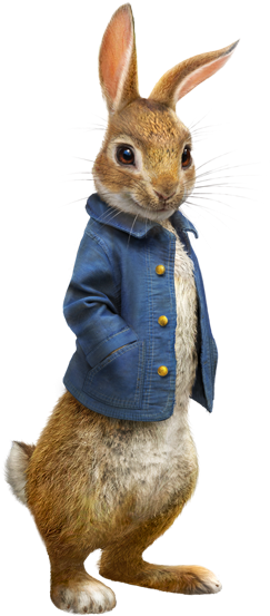 Download Peter Rabbit Png Transparent Stock - Peter Rabbit Transparent ...