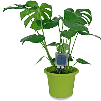 Download Soil Moisture - Humidity Sensor Plants PNG Image with No ...