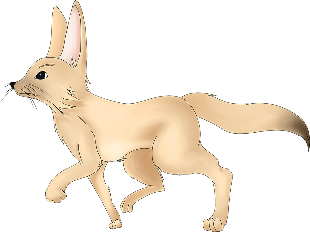 Download Fennec Fox PNG Image with No Background - PNGkey.com