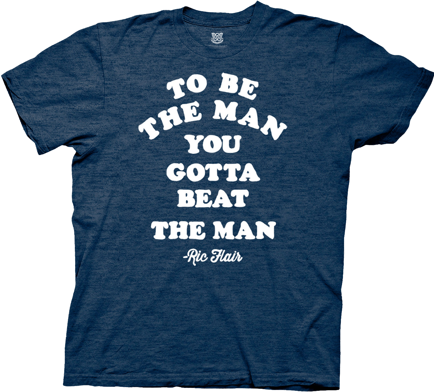 Ric Flair And His Wrestling Career - Free Transparent PNG Download - PNGkey