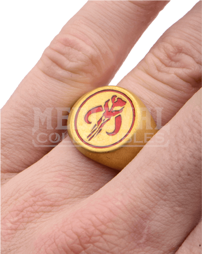 Download Item - Ring PNG Image with No Background - PNGkey.com
