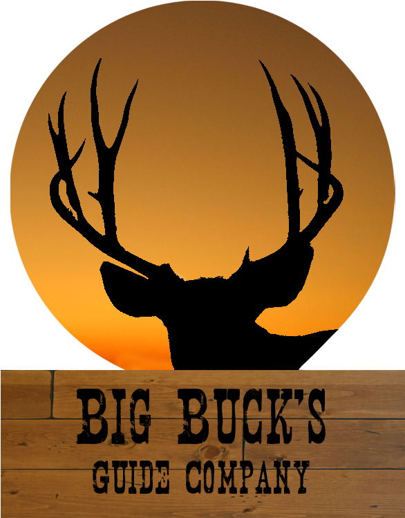 Download Logo - Beware The Colorguard Ornament (round) PNG Image with ...