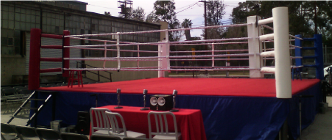 Download Factory Price Mma Boxing Ring For Sale - Architecture PNG ...