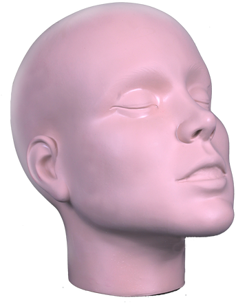 Download Image - Bust PNG Image with No Background - PNGkey.com