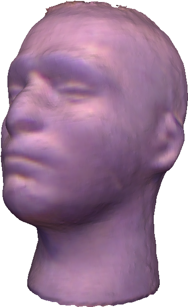 Download Head - Bust PNG Image with No Background - PNGkey.com