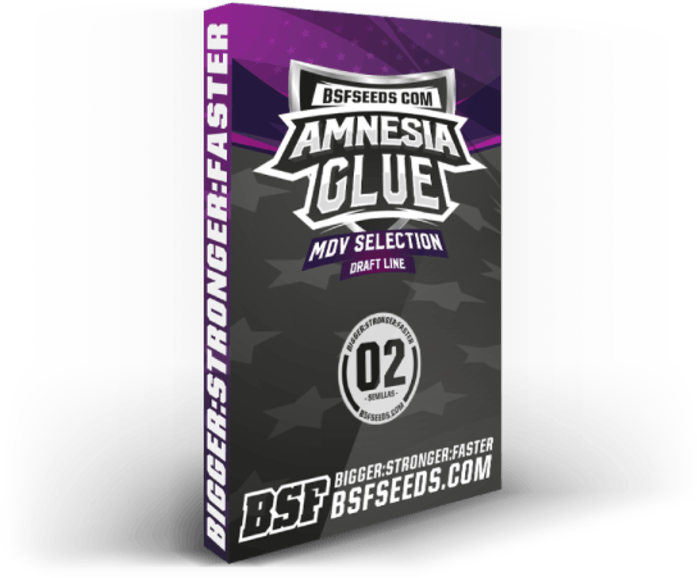 Amnesia Glue - Zoom Video Communications - Free Transparent PNG ...