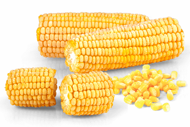 Download Corn Kernels PNG Image with No Background - PNGkey.com