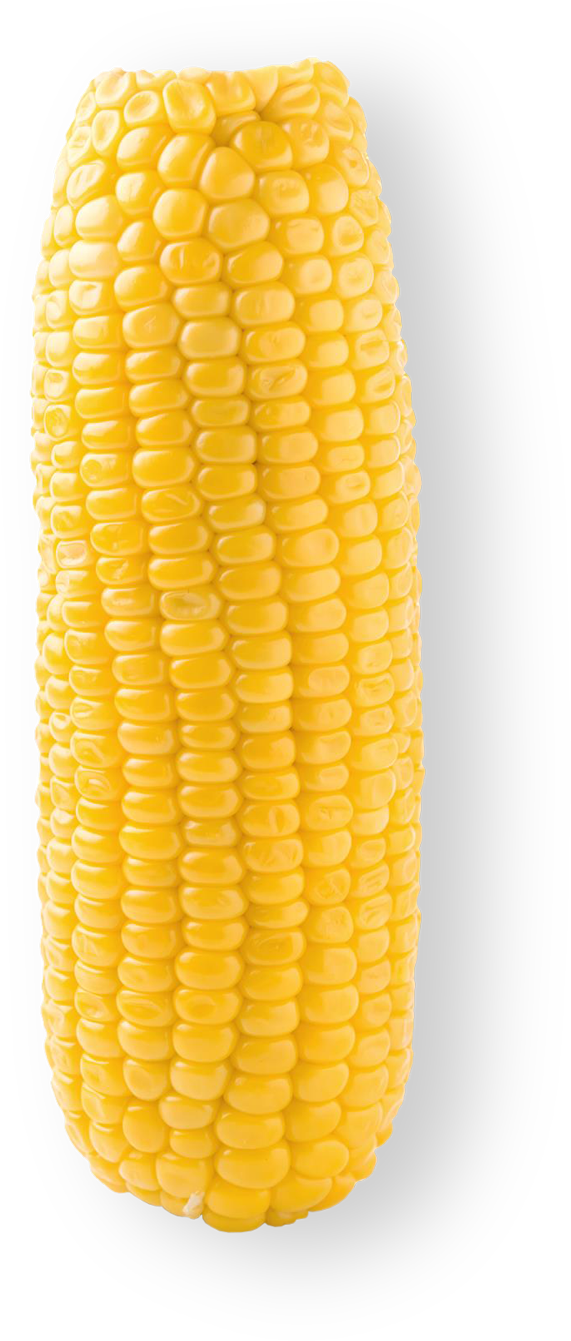 Download Sweet Corn - Corn Kernels PNG Image with No Background ...