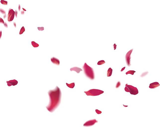 Falling Flowers Png Free Logo Image