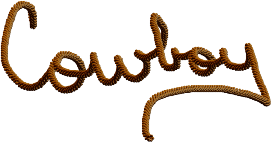 Lasso Rope Png