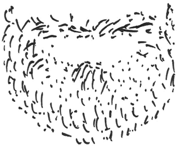 Download Stubble - Calligraphy PNG Image with No Background - PNGkey.com