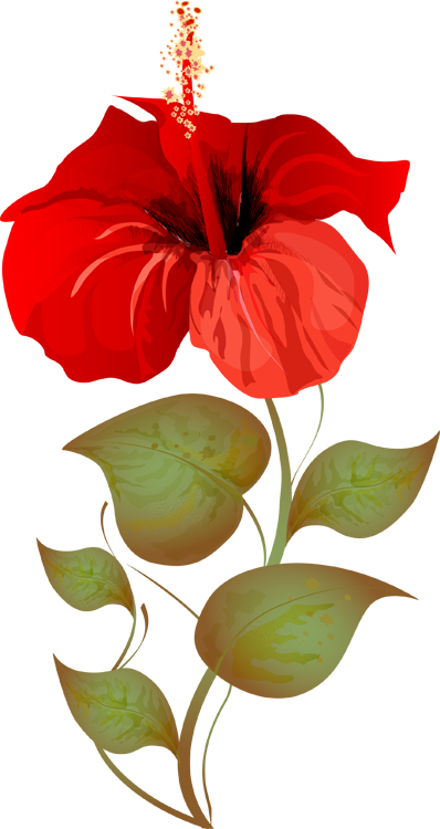 Download Grab This Free Summer Flower Clip Art - Hibiscus Plant Clip ...