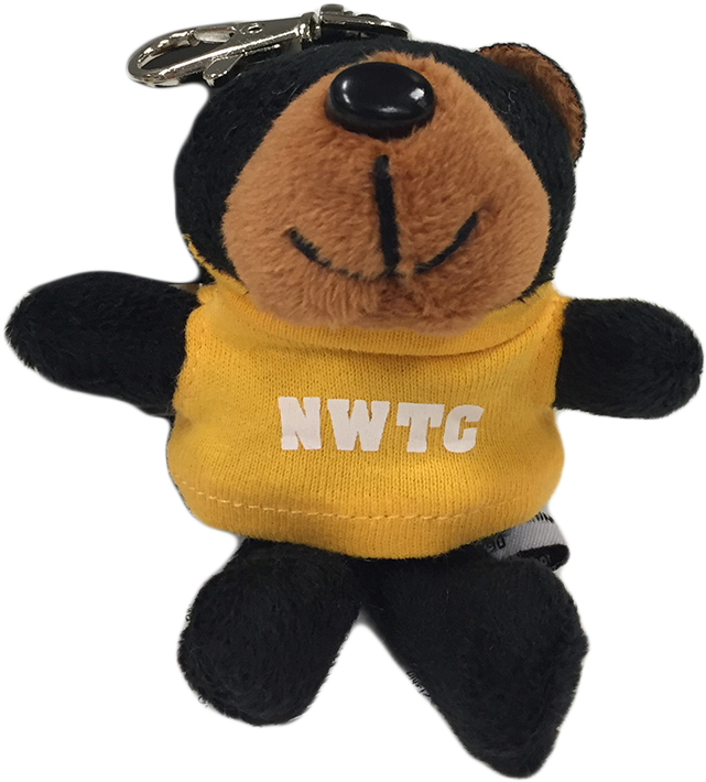 Download Plush Black Bear Key Tag - Teddy Bear PNG Image with No ...