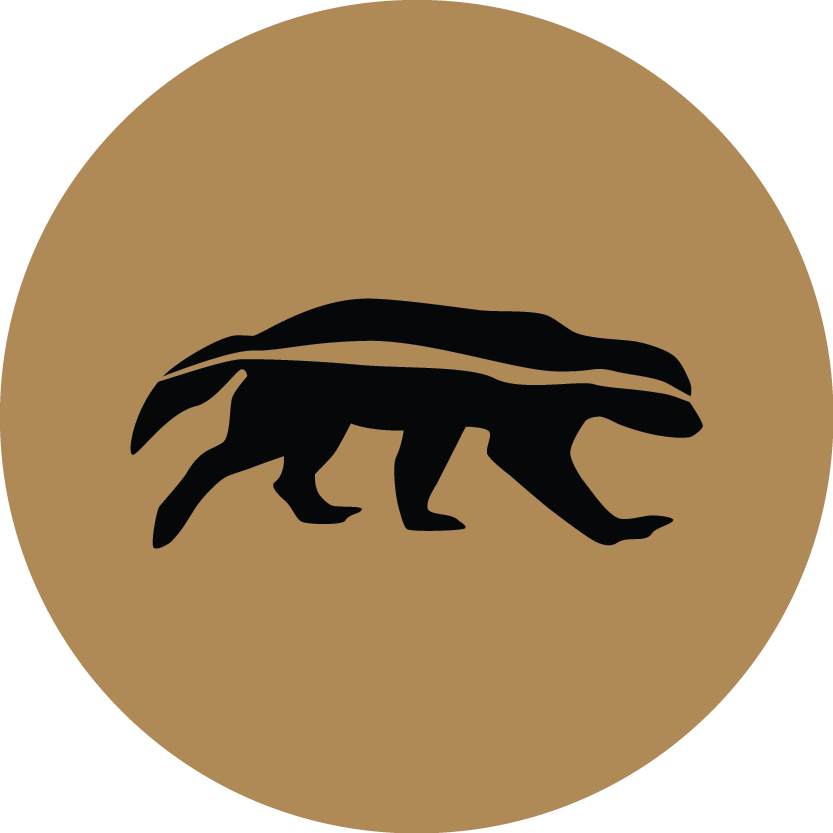 Download Hufflepuff - Emblem PNG Image with No Background - PNGkey.com