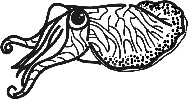 Download Cuttlefish - Cuttlefishes PNG Image with No Background ...