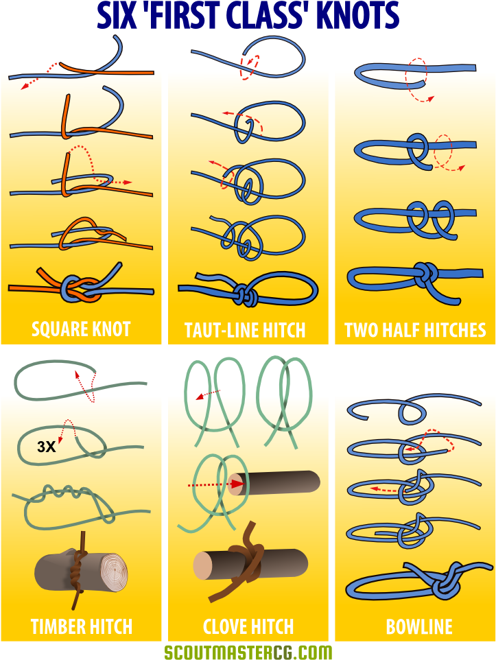 Download Six First Class Knots Infographic - Six First Class Knots PNG ...
