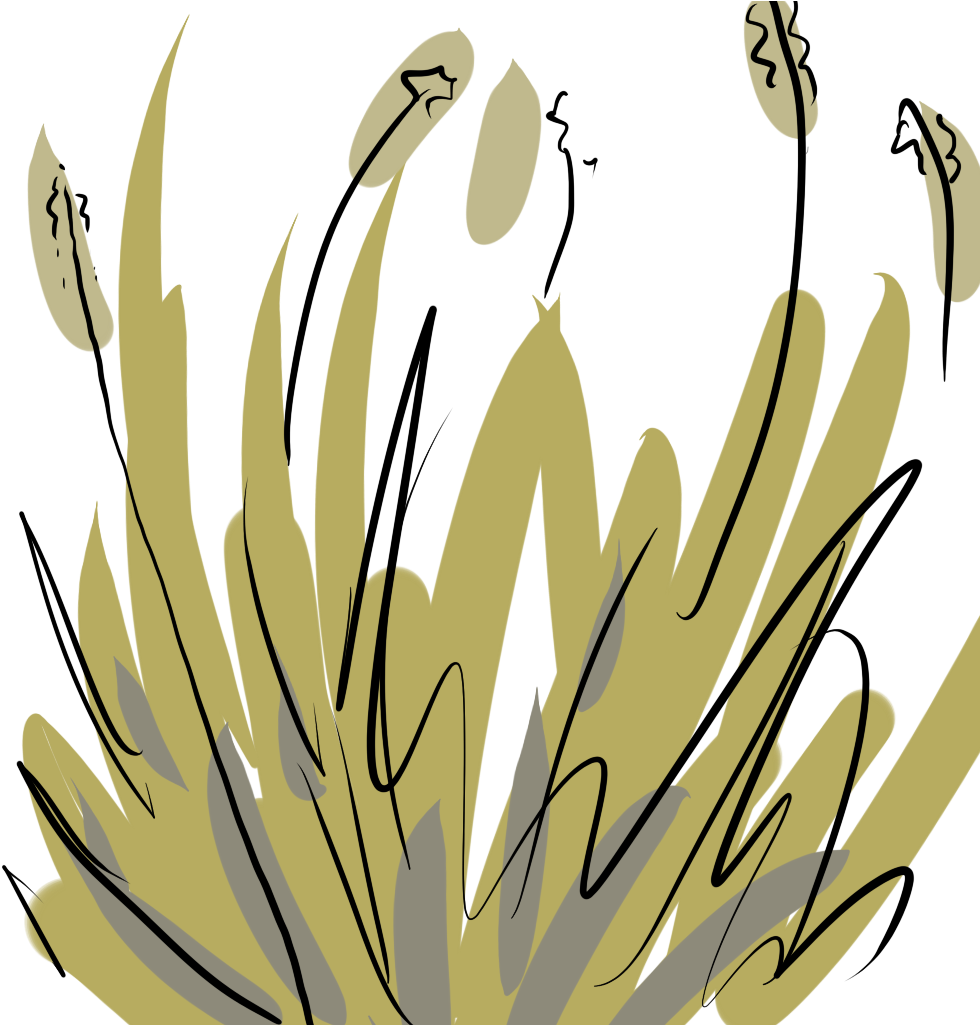 Download I Applied The Texture To A Flat Square Plane On Maya PNG Image ...