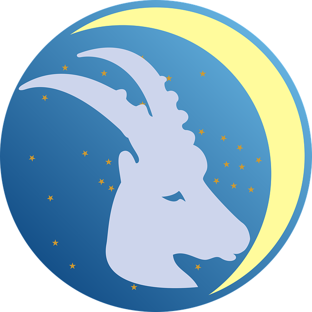 Download Zodiac - Capricorn - Zodiac Sign For January 3 PNG Image with ...
