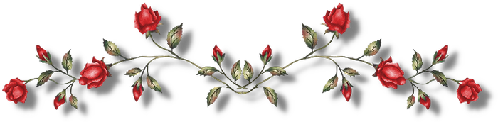 Download Picture - Rose Page Divider PNG Image with No Background ...